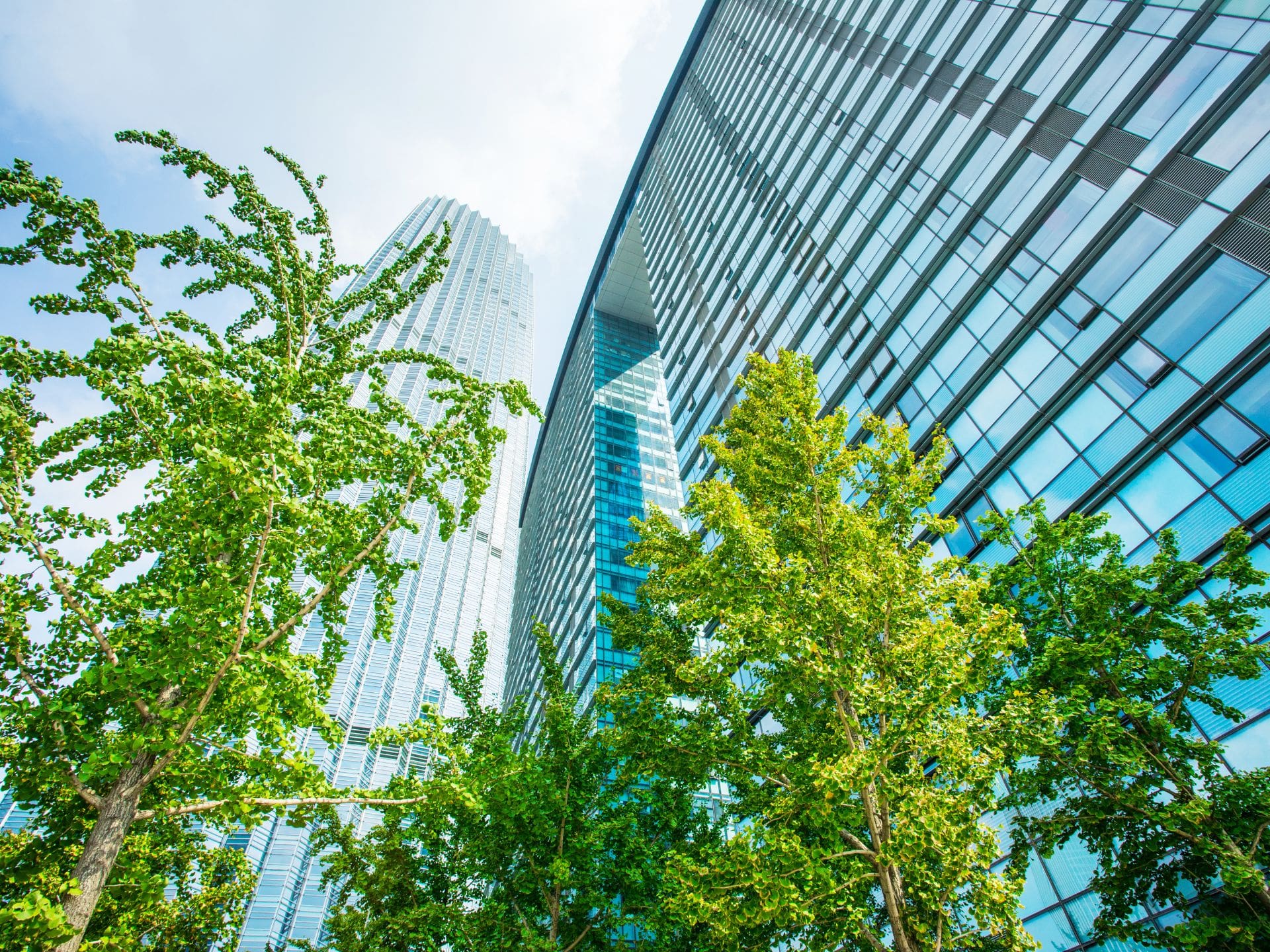 Green City, Urbanization and New Mobility | LEADING MINDS